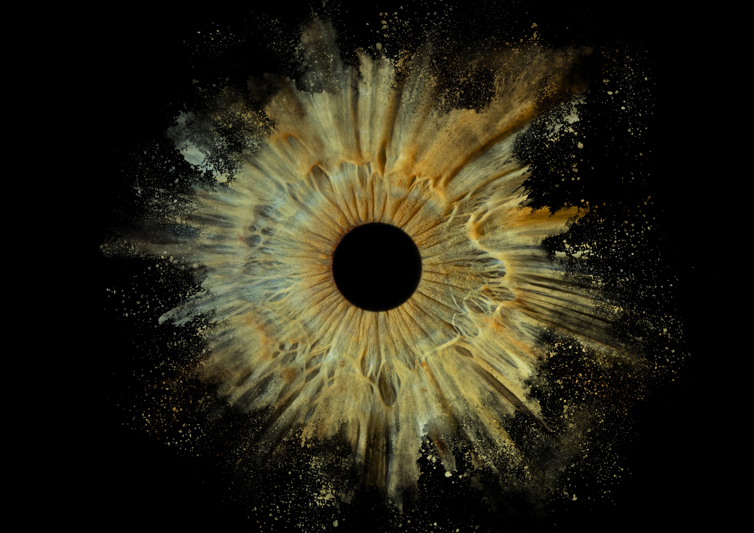 Explosion - Iris Photo