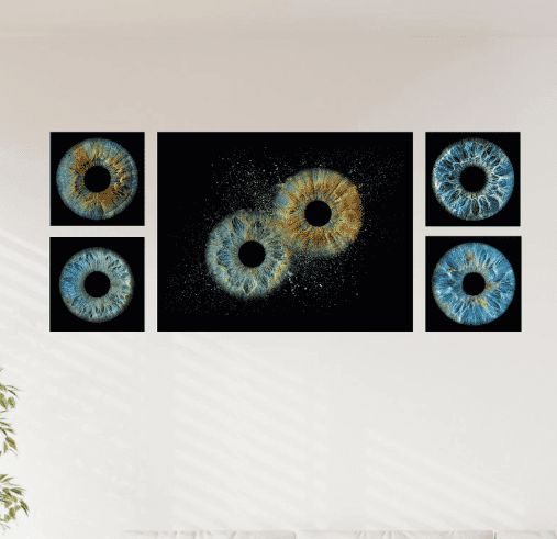 Collection of Six - Iris Photo