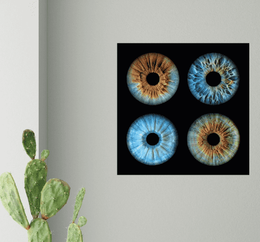 Floating Square - Iris Photo