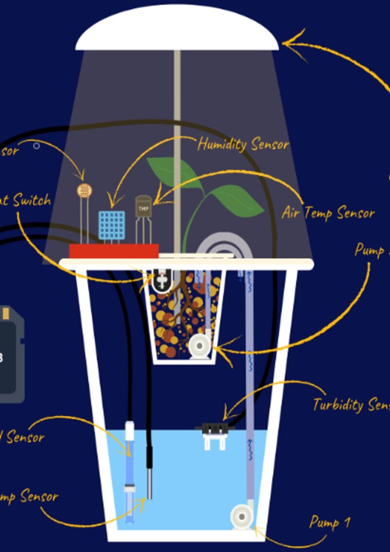 Primary - integratedSTEM