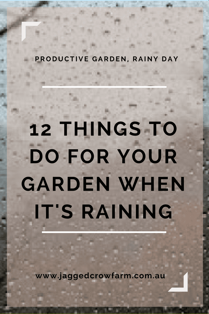 12 Things to do for your Garden when it’s Raining - Jagged Crow Farm