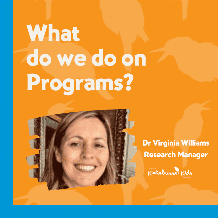 Programs Infosheet | Kookaburra Kids