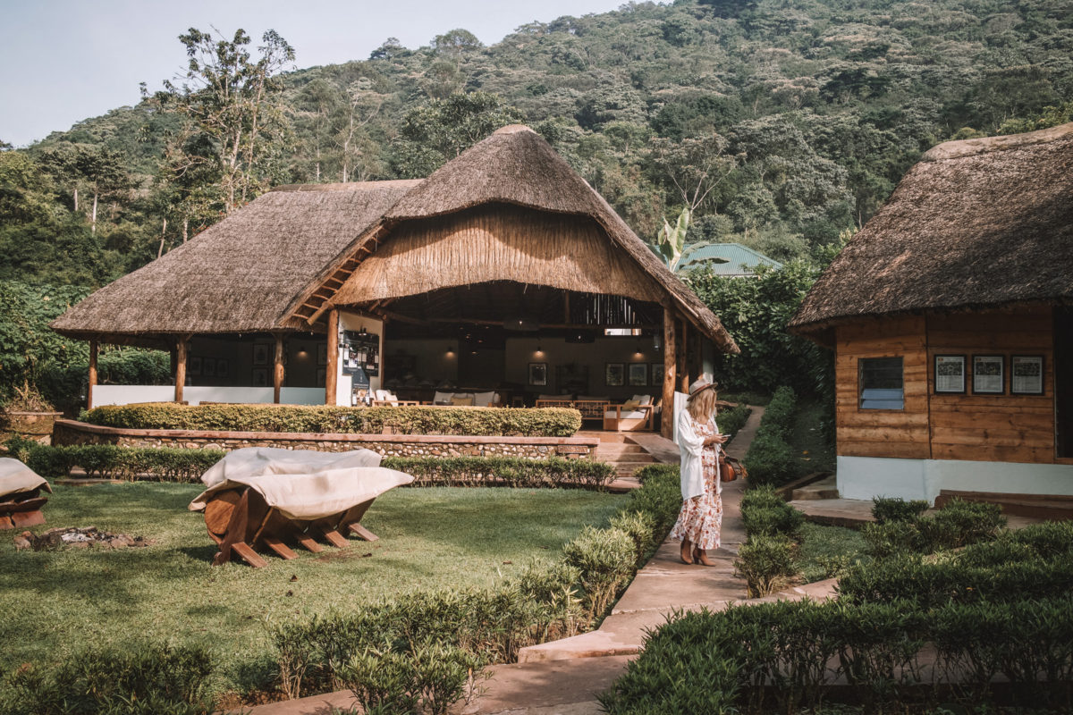 Sanctuary Gorilla Forest Camp, Bwindi Impenetrable Forest | Krumbled