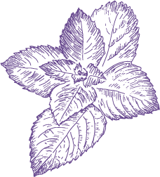 Menu | Lavendra Indian Restaurant Lavender Bay