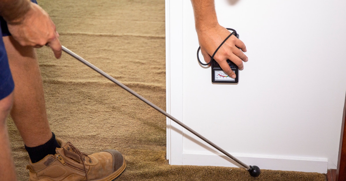 How does thermal imaging for termites work? - Local Building & Pest ...