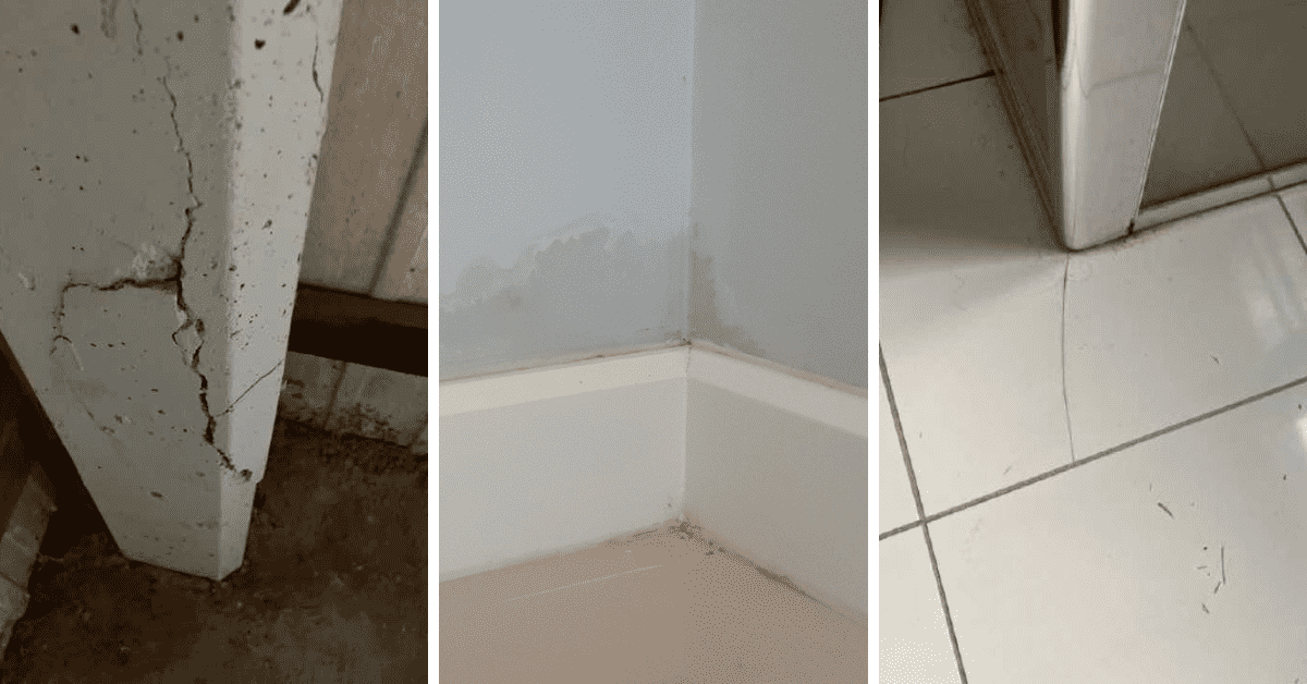 Explained: Defect types and classifications in building and pest ...