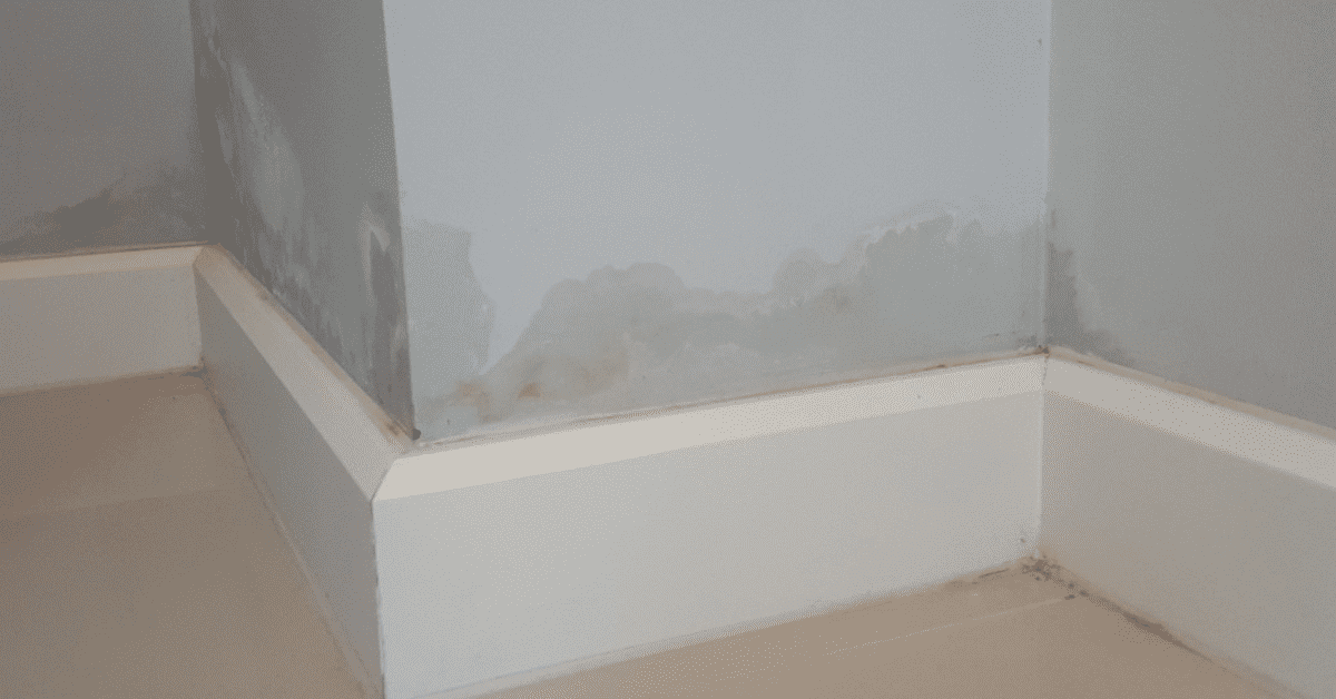 What to look for in a building and pest inspection report - Local ...