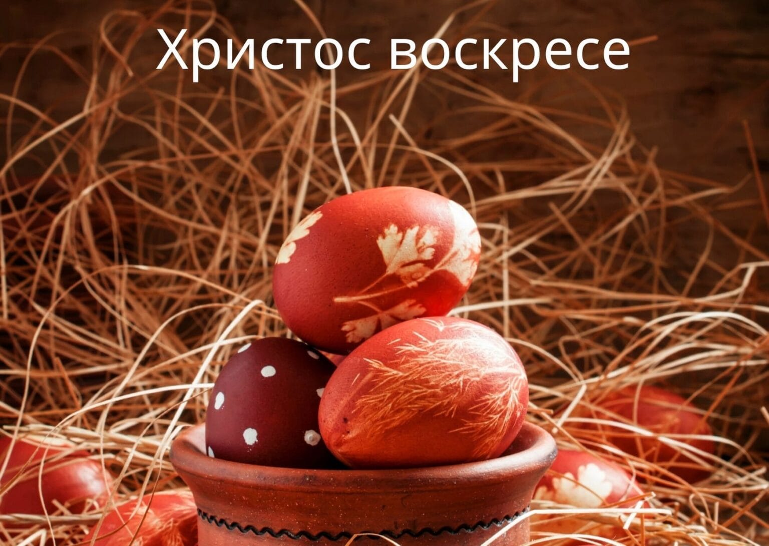 Resources - Multicultural Aged Care