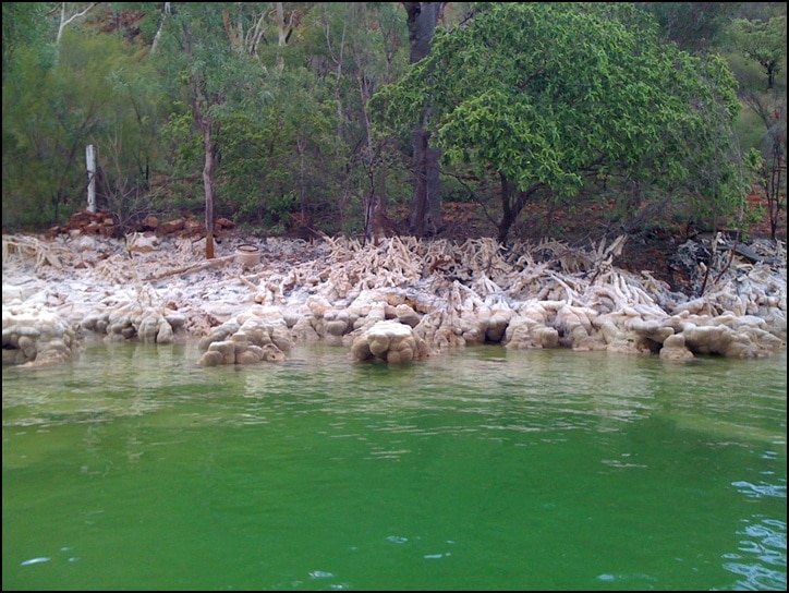 From the Archives: GEMG Papers 2010 & 2012 - MBS Environmental