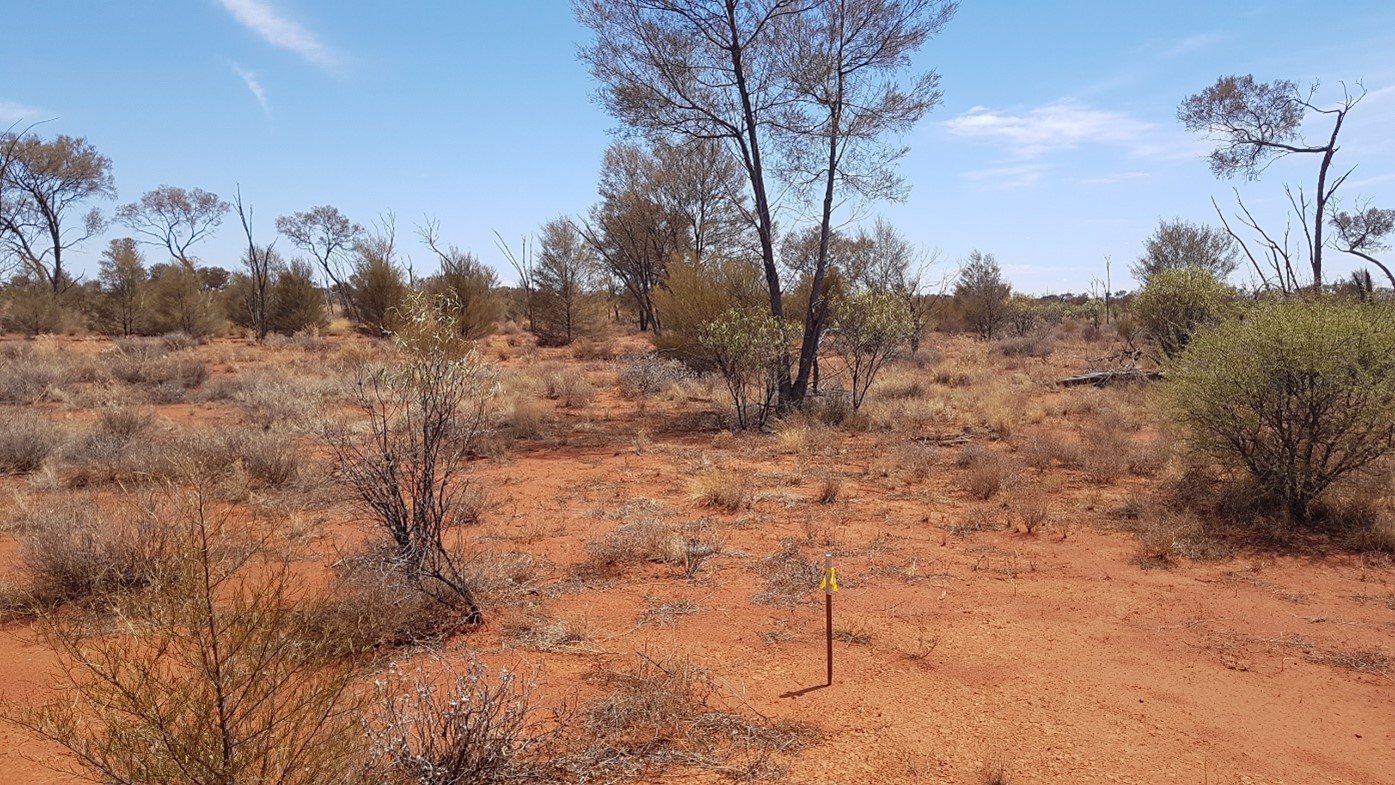 Billabong Gold - MBS Environmental