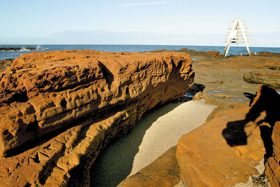 Top Walking, Running, and Riding Trails in the Bayside Area