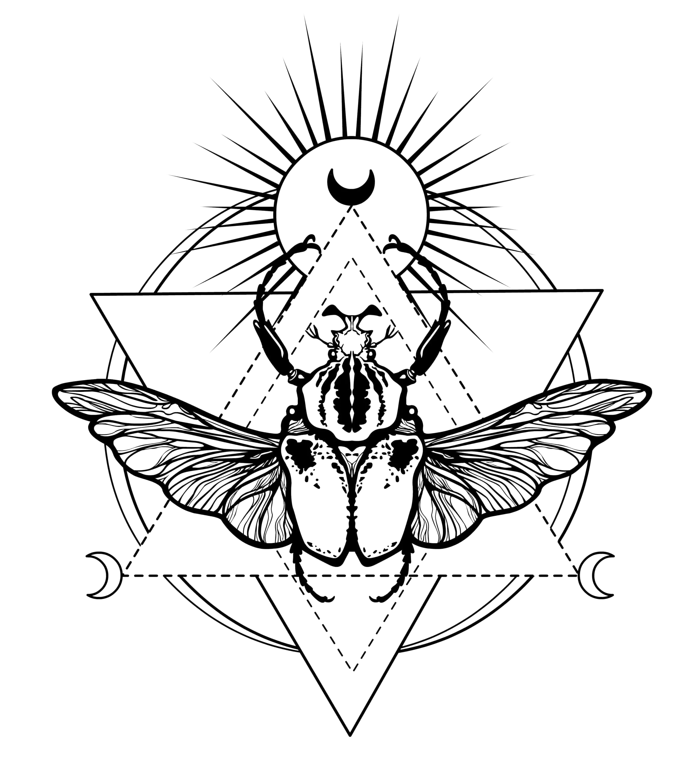 About Morphius - Morphius