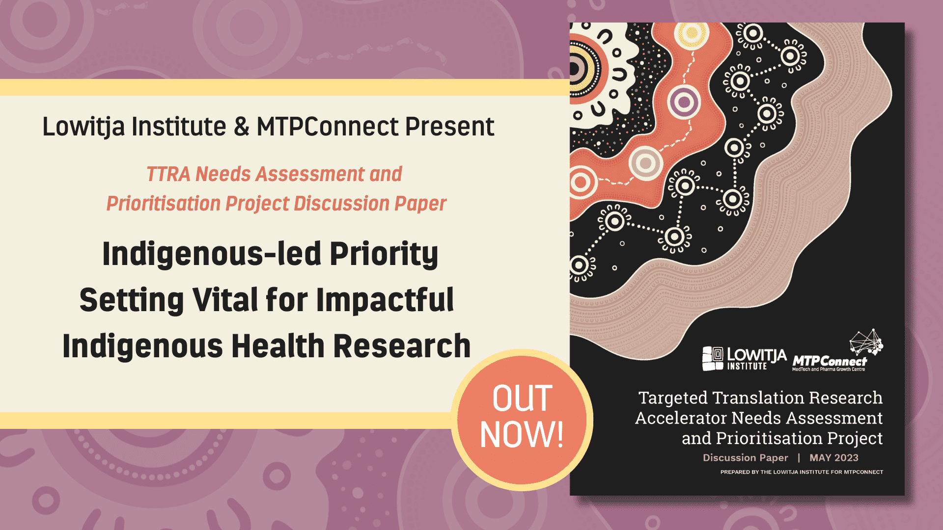 Targeted Translation Research Accelerator (TTRA) for Diabetes and ...