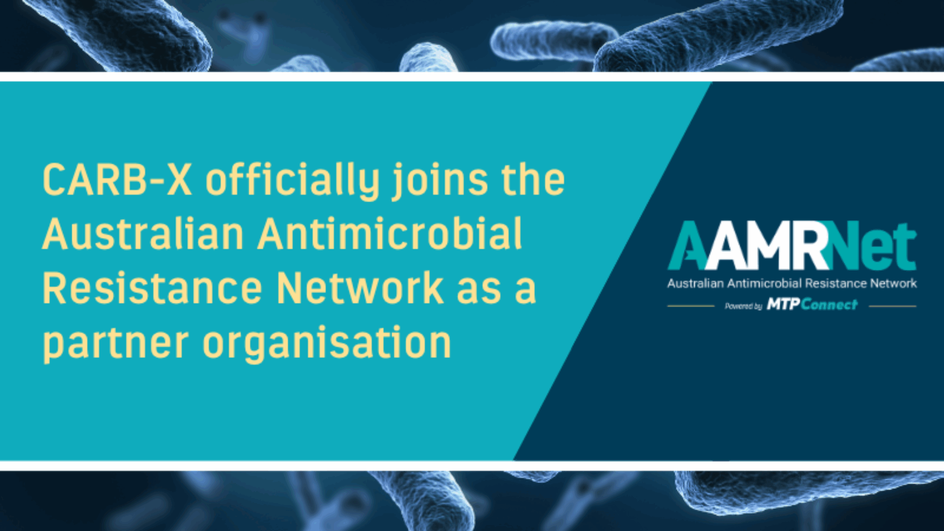 CARB-X Joins Australia’s AMR Network as a Partner Organisation ...