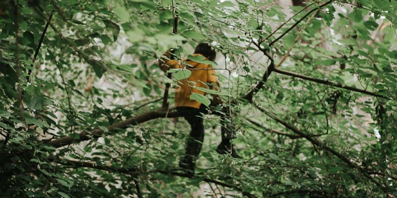 Forest Rhythms by Claire Lock - Nature Play SA