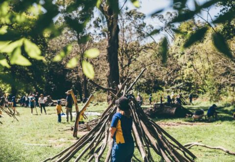 Incursions and Excursions - Nature Play SA