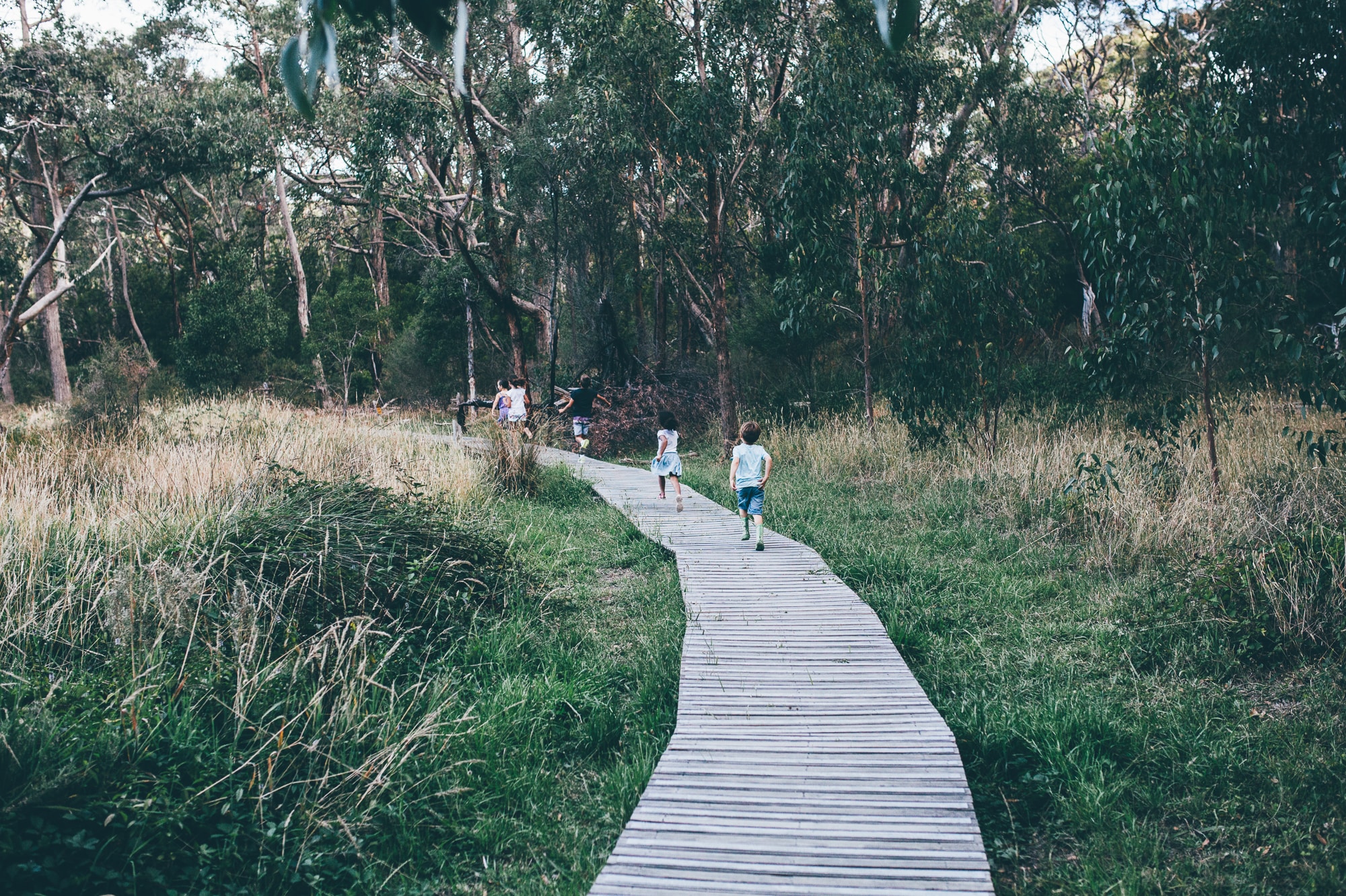 Family Nature Walk in the Adelaide Hills, Woorabinda Bushland Reserve | Nature Play SA
