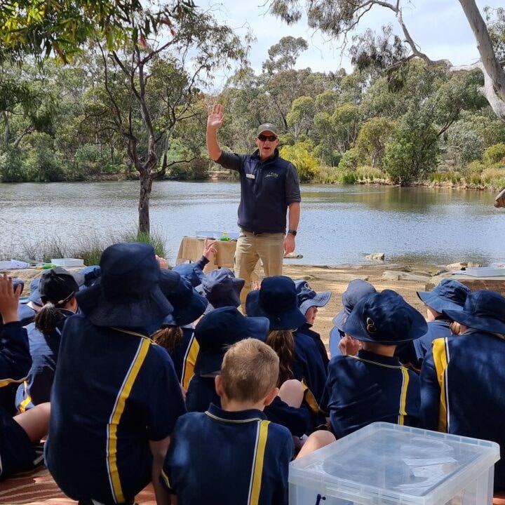 Mini-Beasts and Water Bugs @Wittunga Gardens | Nature Play SA