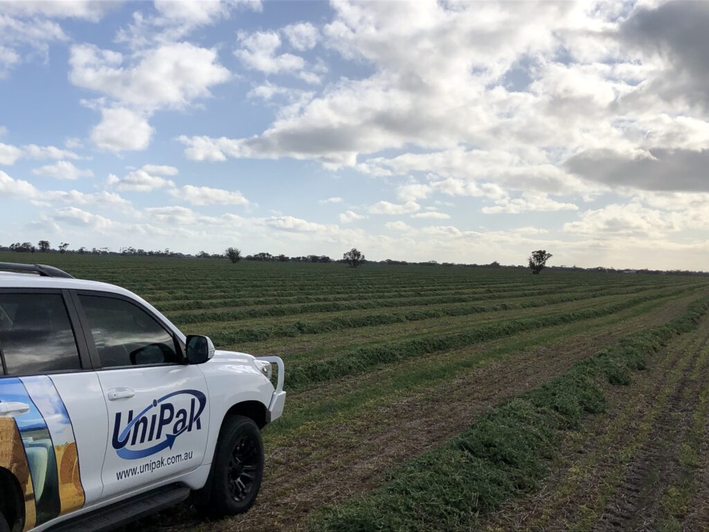 Net Replacement Film | Net Replacement Film Australia