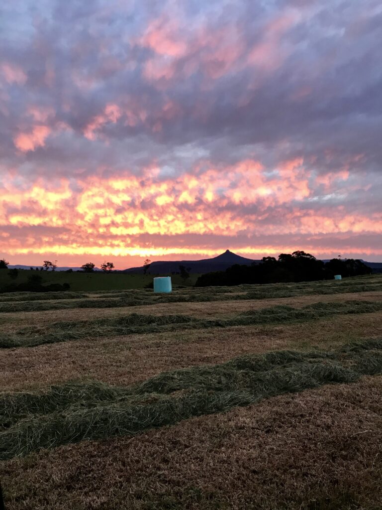 Net Replacement Film | Net Replacement Film Australia