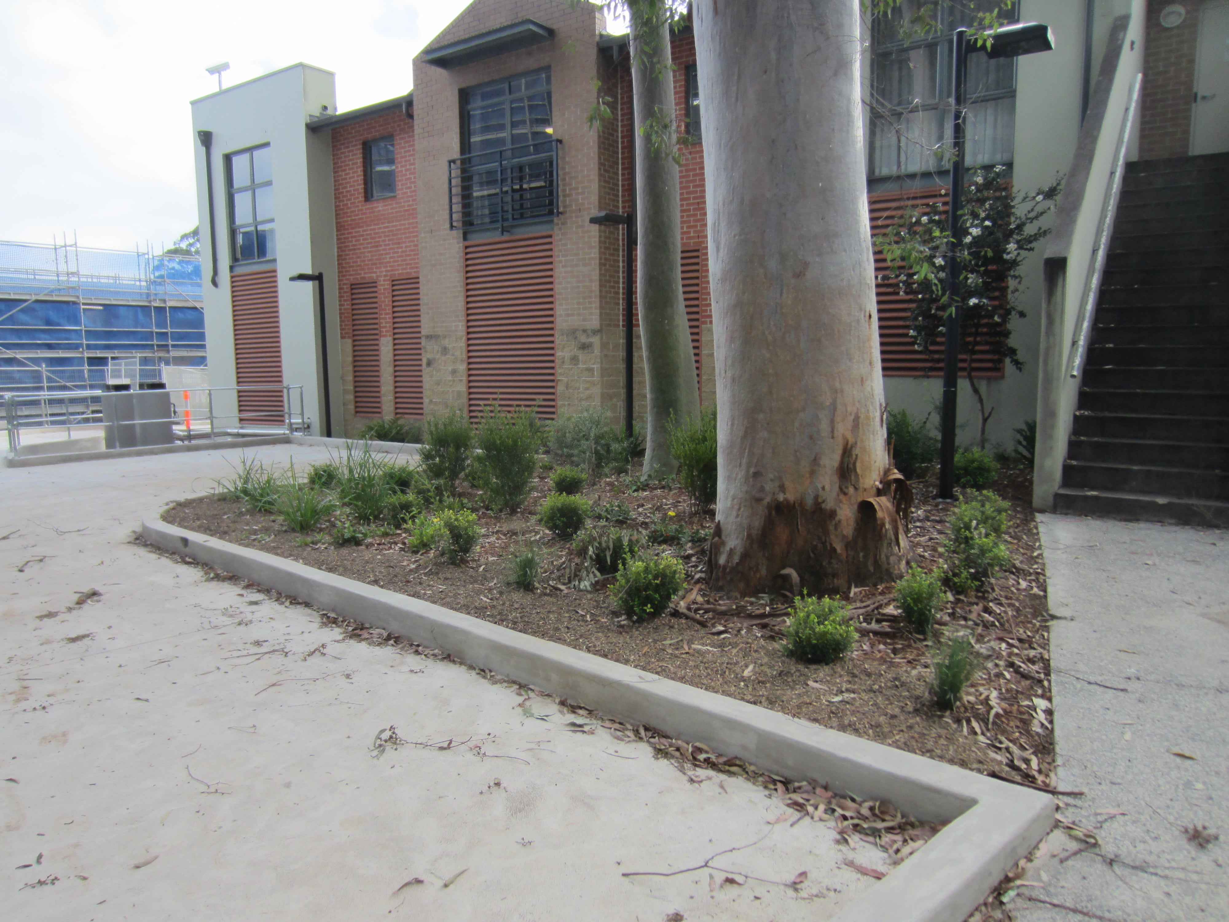 Which Councils have a 3m rule for trees? | New Leaf Arboriculture