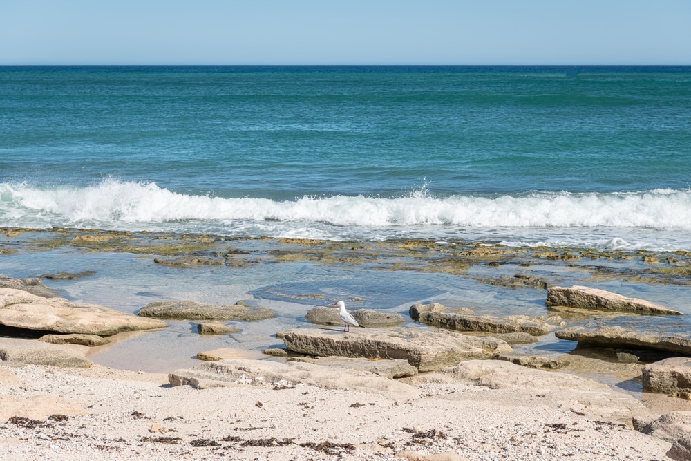 Bungarra - Ningaloo Station