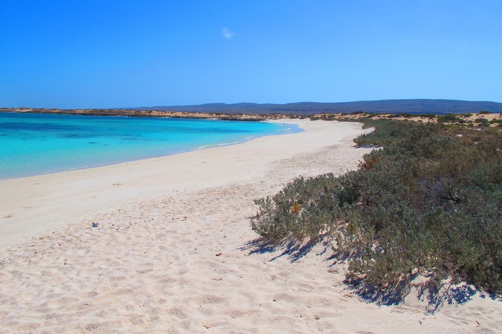 Tulki Beach - Ningaloo Station