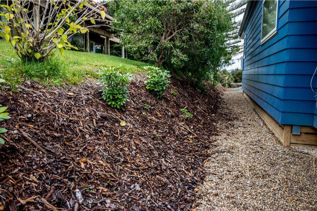 revitalise-in-russel-7 | Northscape