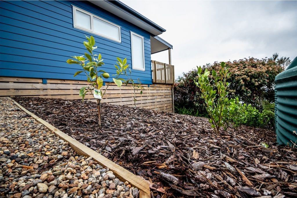 revitalise-in-russel-9 | Northscape