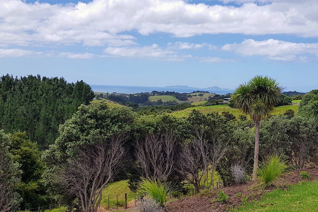 Untitled-6 | Northscape