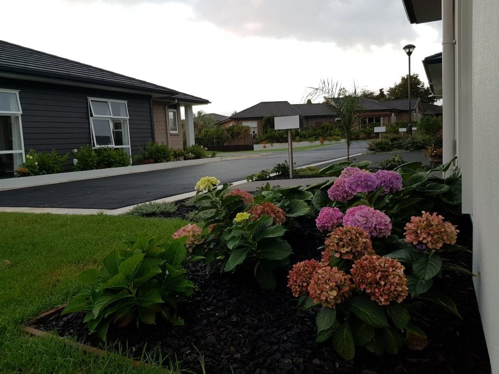 Haruru-package (6) | Northscape