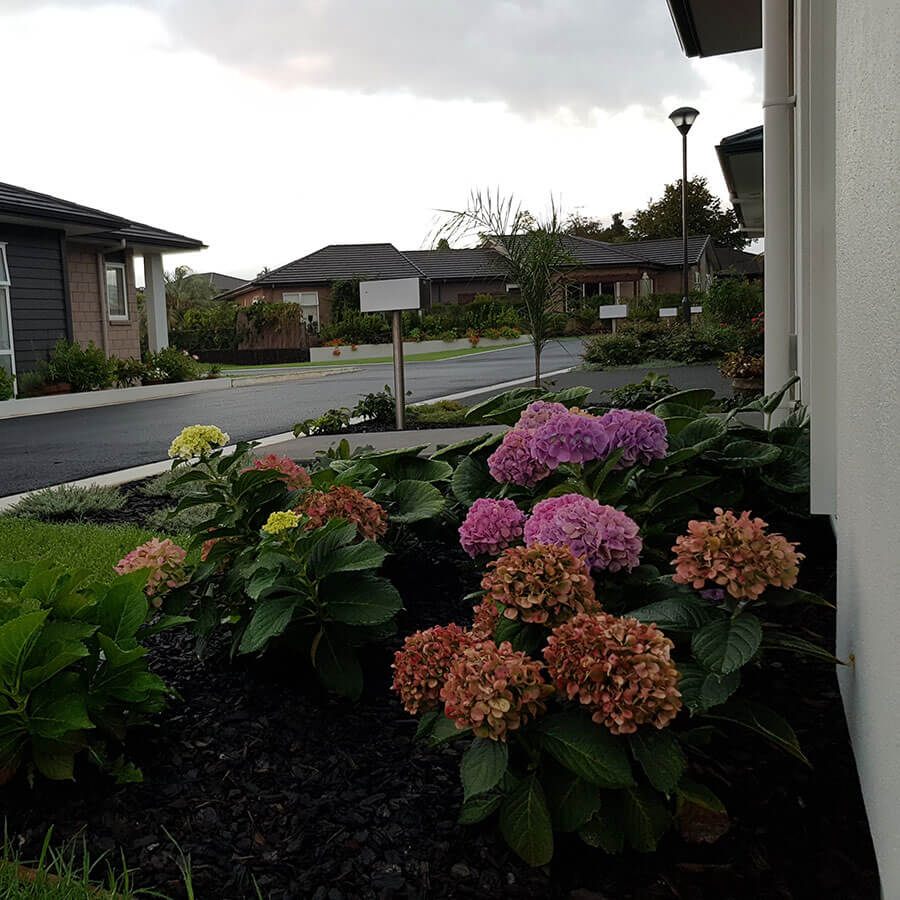 Landscape Packages | Northscape