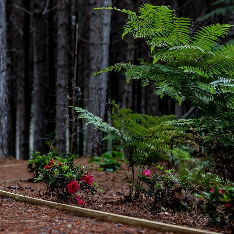 Landscape Packages | Northscape