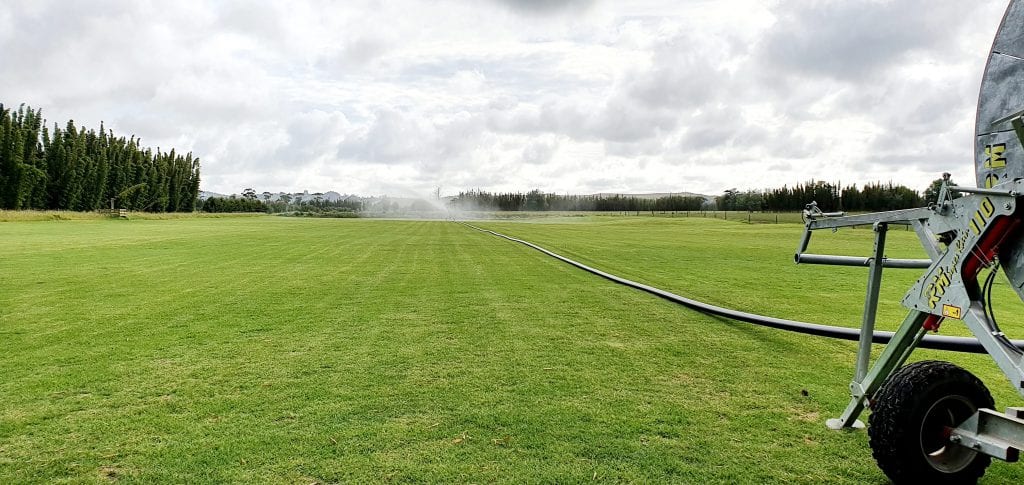K-Turf Instant Turf Grass | Northscape