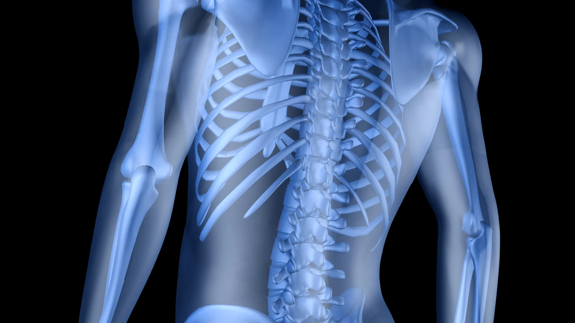 Healthy Bones Australia: Bone Burning Questions for Healthy Bones ...