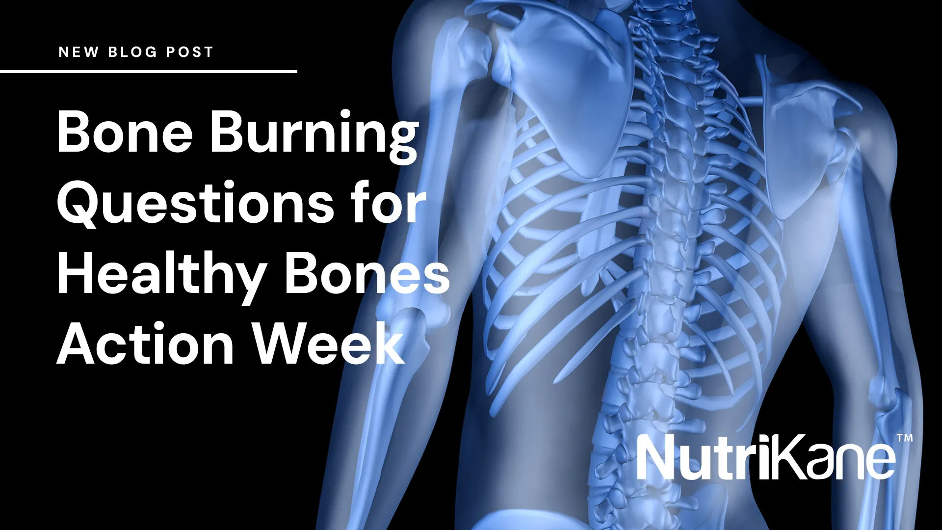 Healthy Bones Australia: Bone Burning Questions for Healthy Bones ...