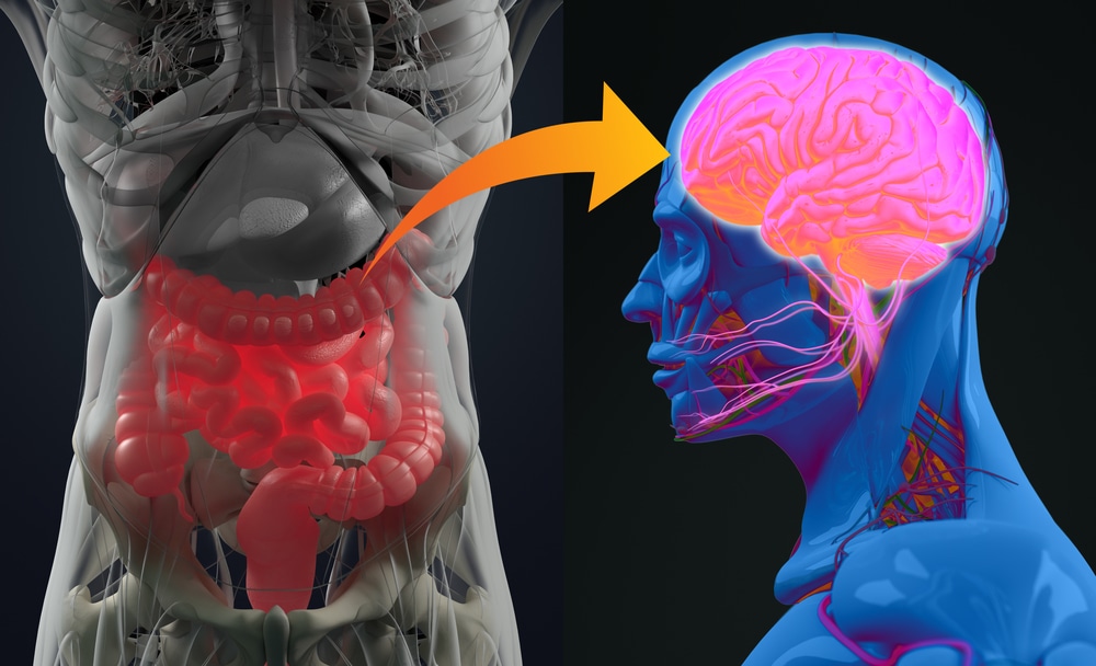 Harnessing Gut Instinct: Gut-Brain Axis in Mental Health