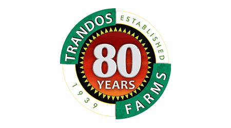 Olympic Kingsway Sports Club - (Official Website)