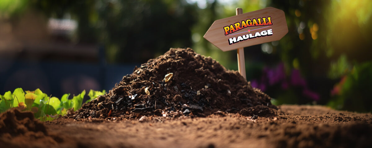 Nitro Hummus Soil: Your Gardening Companion - Paragalli Haulage