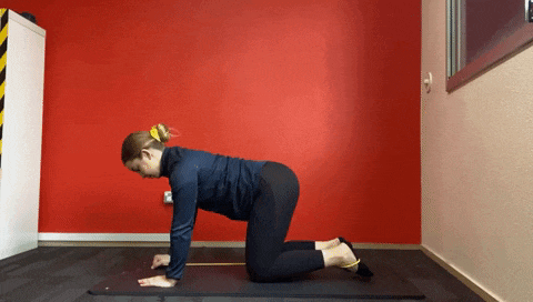 Best Band Exercises to Do From Home | Precision Physio