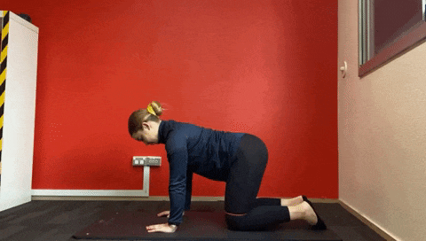 Best Band Exercises to Do From Home | Precision Physio