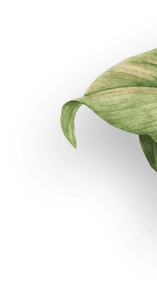 Free Resources | Prominent Financial Services