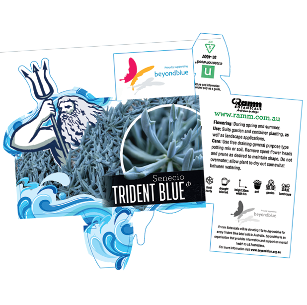 Trident Blue PBR - Ramm Botannicals