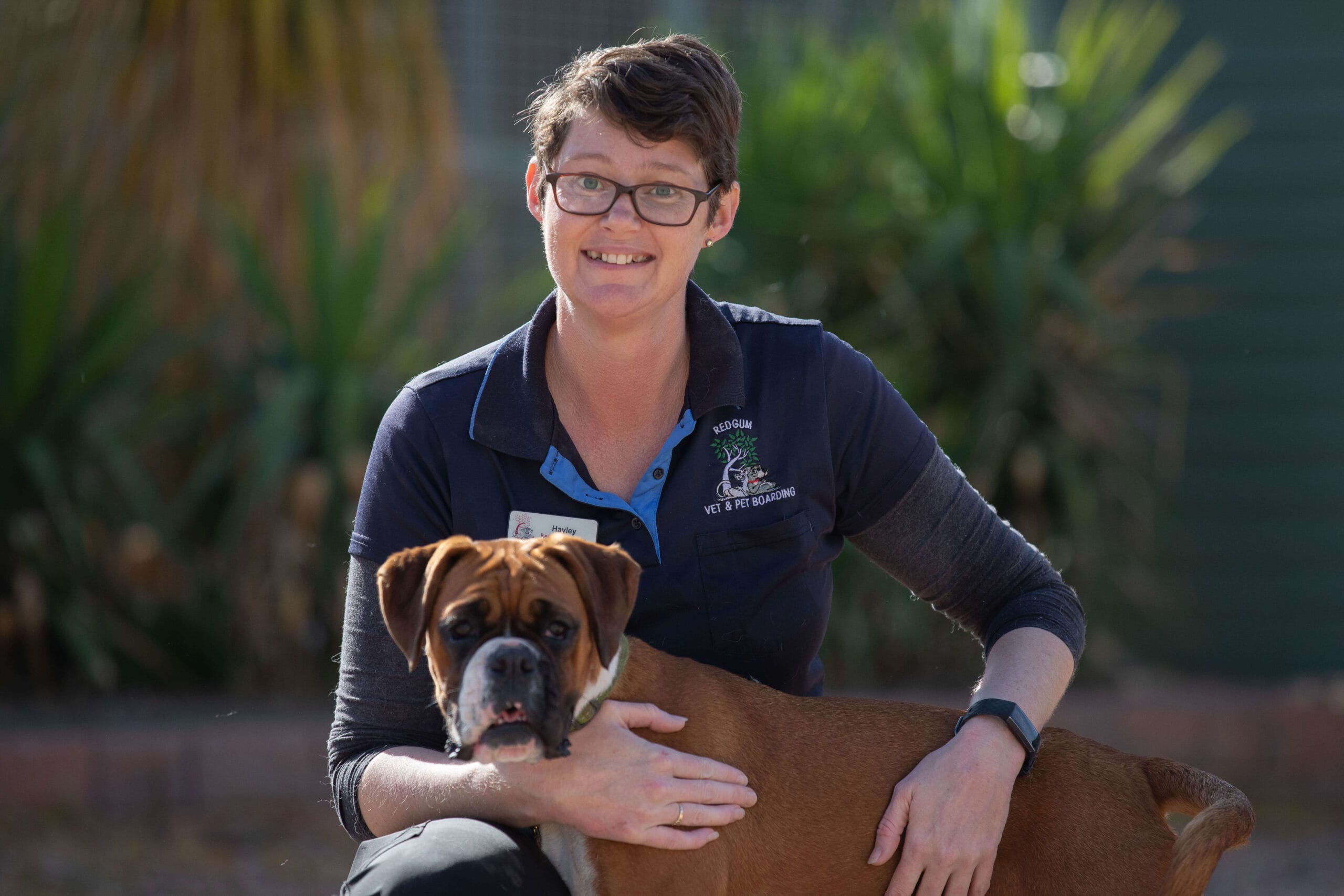 Contact Redgum Vet & Pet Boarding | Serving The Mid North
