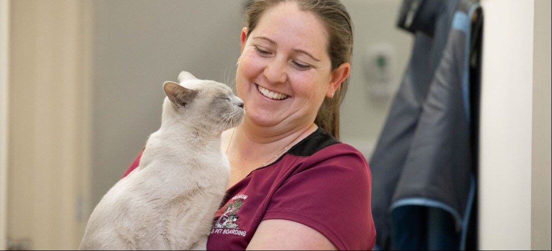 Pet Dental Care Port Augusta | Redgum Vet & Pet Boarding