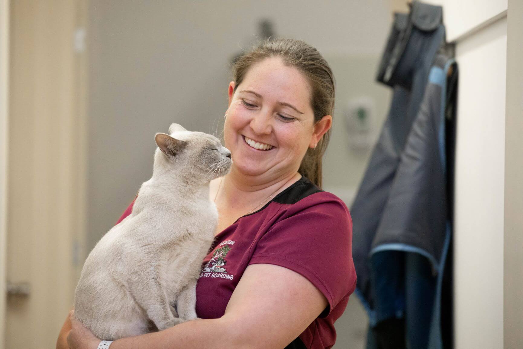 Contact Redgum Vet & Pet Boarding | Serving The Mid North