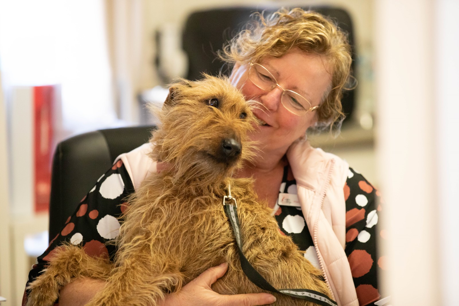 Pet Dental Care Port Augusta | Redgum Vet & Pet Boarding
