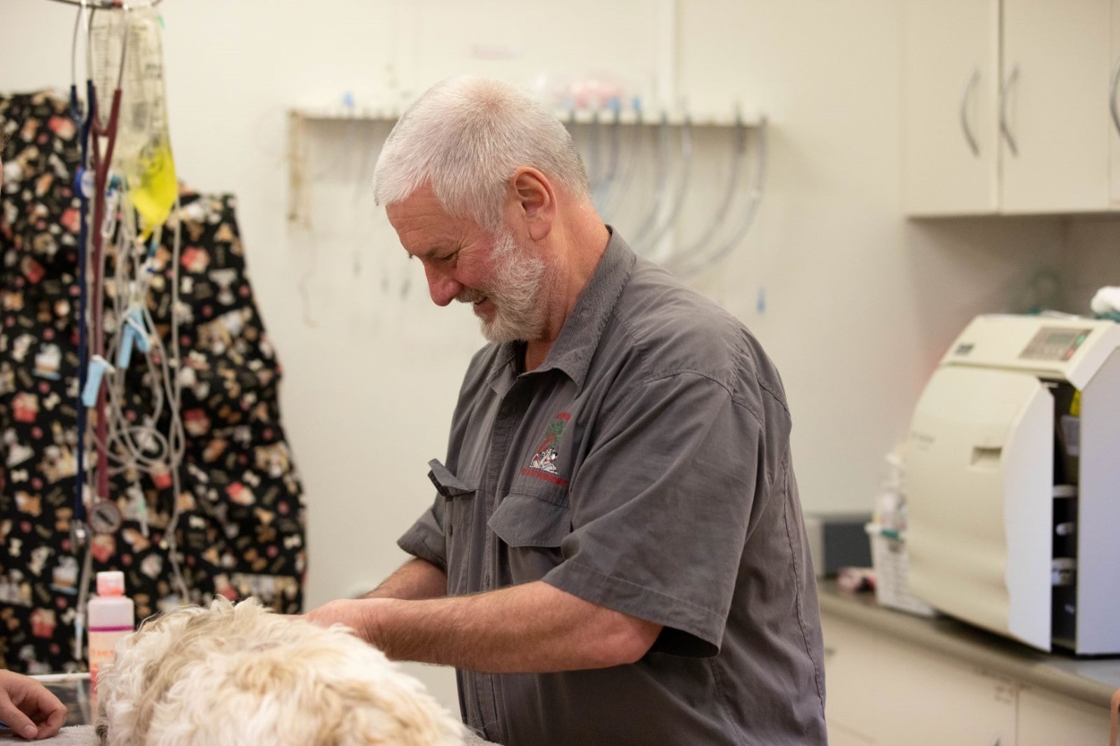 Vet Clinic in Port Augusta | No.1 Vets for Mid & Far North