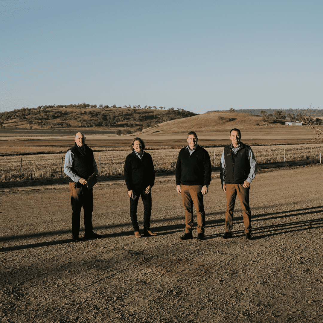 BK Civil Website - Round Square Marketing