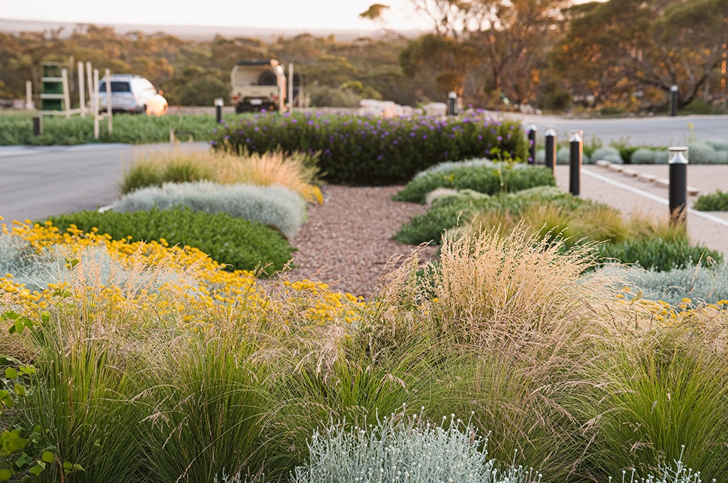 The Monarto Safari Resort | SA Scapes